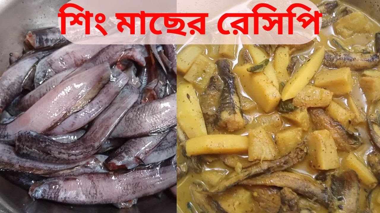 শিং মাছের রেসিপি । জিয়েল মাছের রেসিপি । sing mach recipe আলু দিয়ে শিং ...