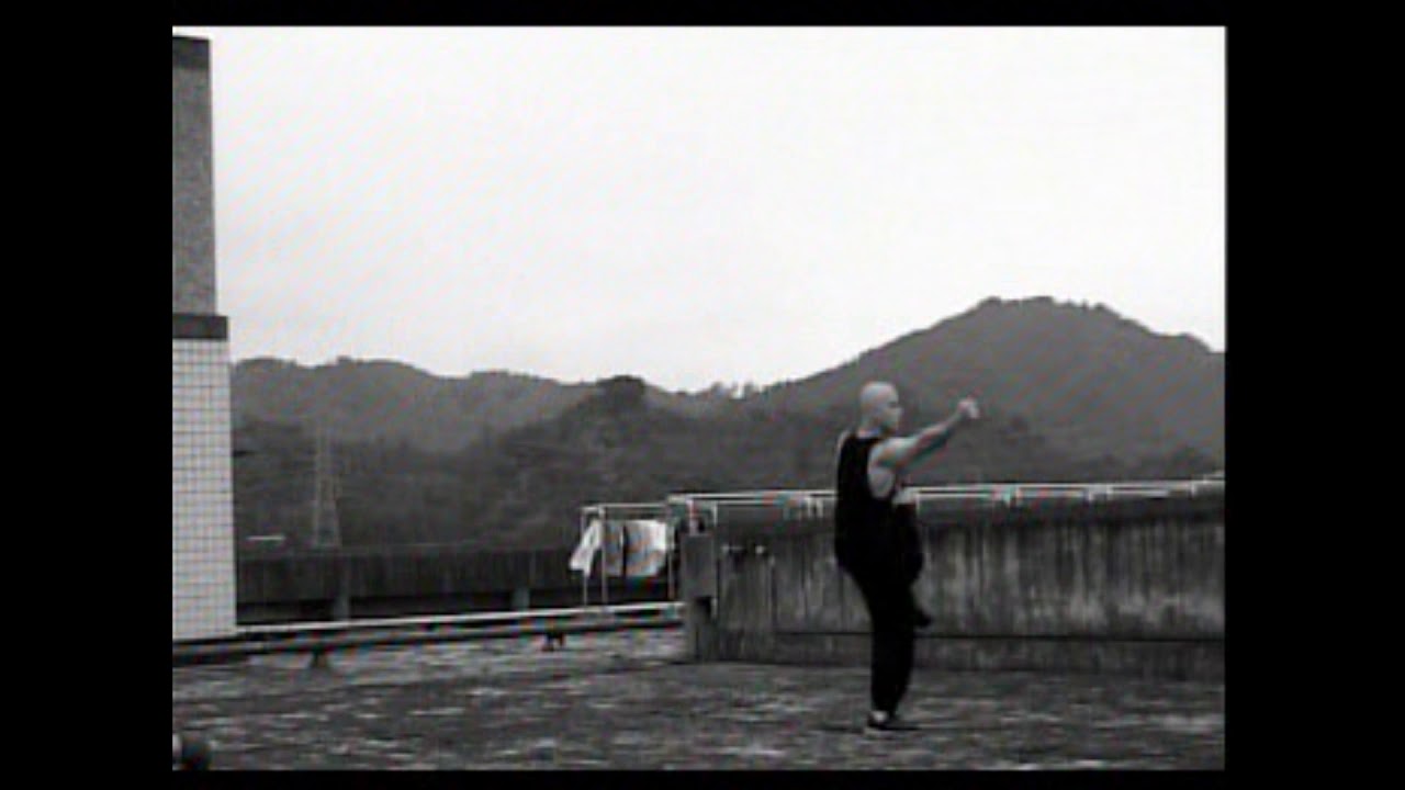 Longfist Forms Taiwan 2003 Gong Li Quan Matt Gelfand - YouTube