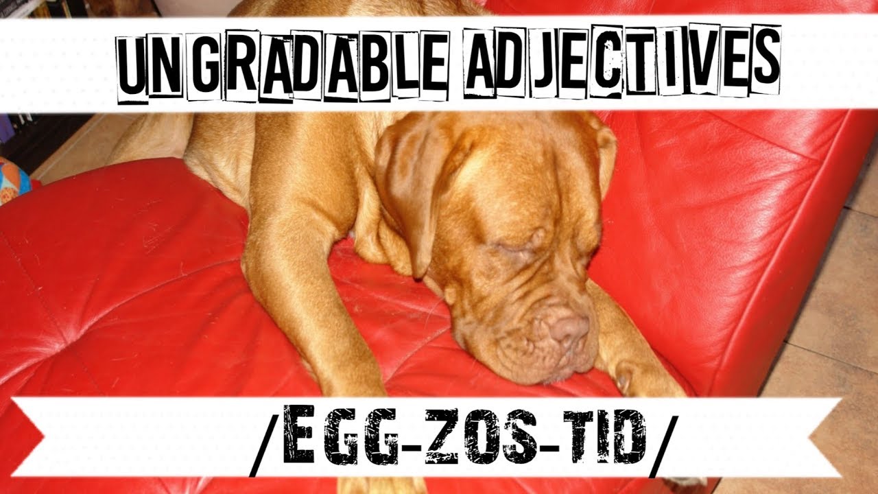 Ungradable English Adjectives - Exhausted - YouTube