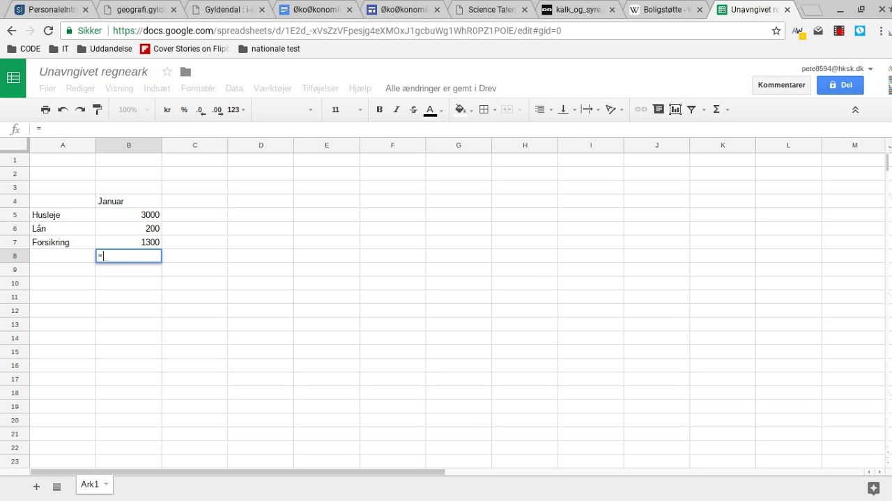 Budget (1/7) - Udgifter for 1 måned - YouTube