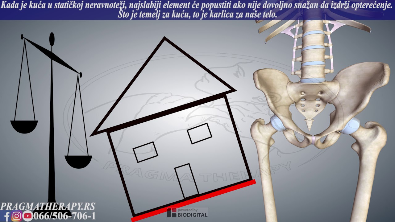 Karlica ljudskog tela - YouTube