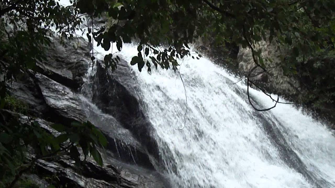 MONKEY FALLS ALIYAR - YouTube