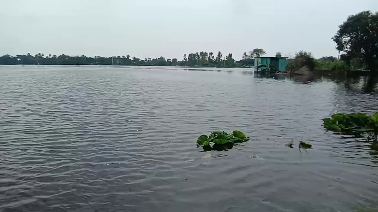 Taraiya panapur road badh 2020 | saran| chainpur | bihar - YouTube