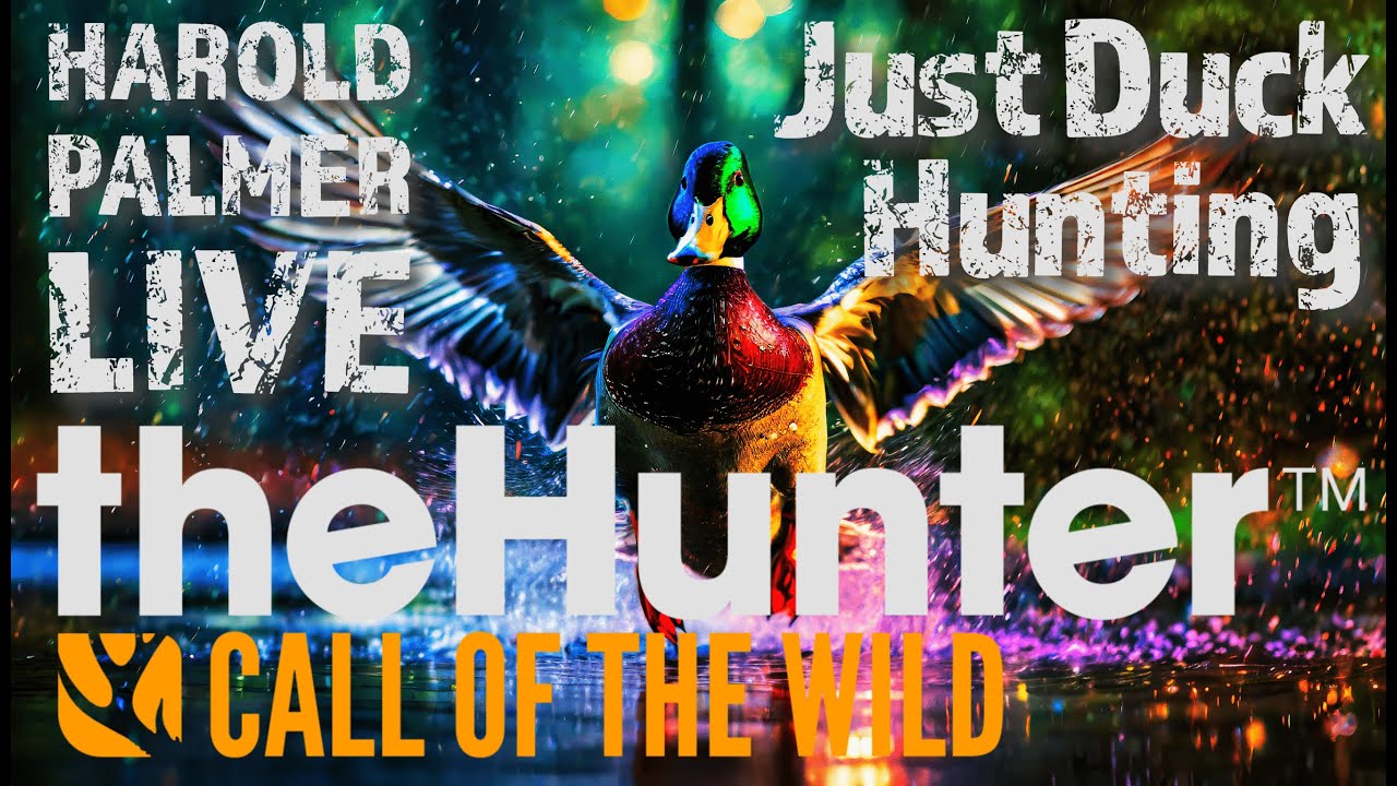 Wednesday Duck Shoot - HCotW - Just Duck Hunting - REV - YouTube