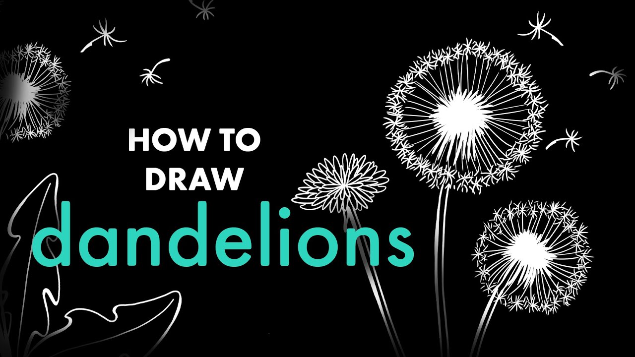 How To Draw A Dandelion Blowing Away Step By Step