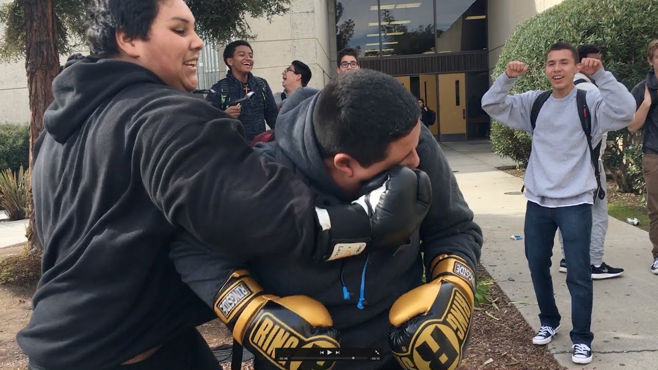 CRAZY (GLOVES ON) SCHOOL BOXING FIGHT!!! - YouTube
