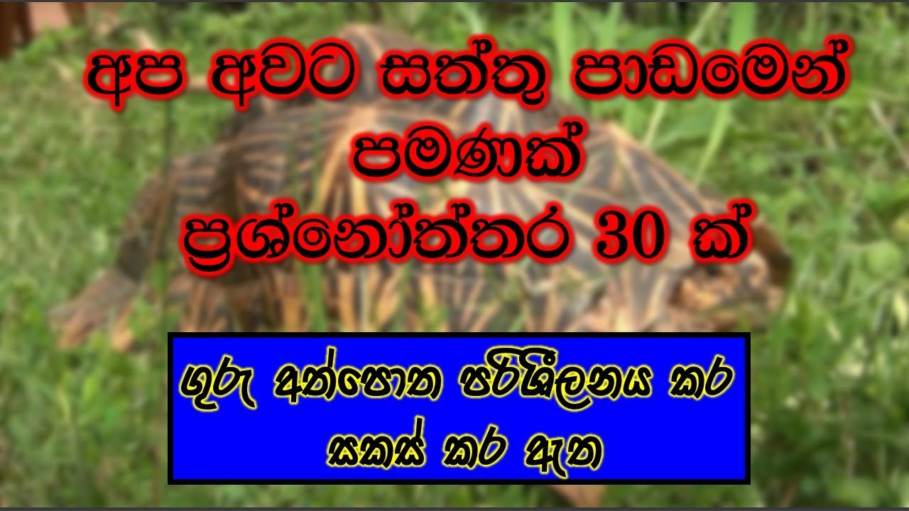 ශිෂ්‍යත්වය අප අවට සත්තු පාඩමෙන් ප්‍රශ්නෝත්තර 30 ක් | apa awata saththu ...