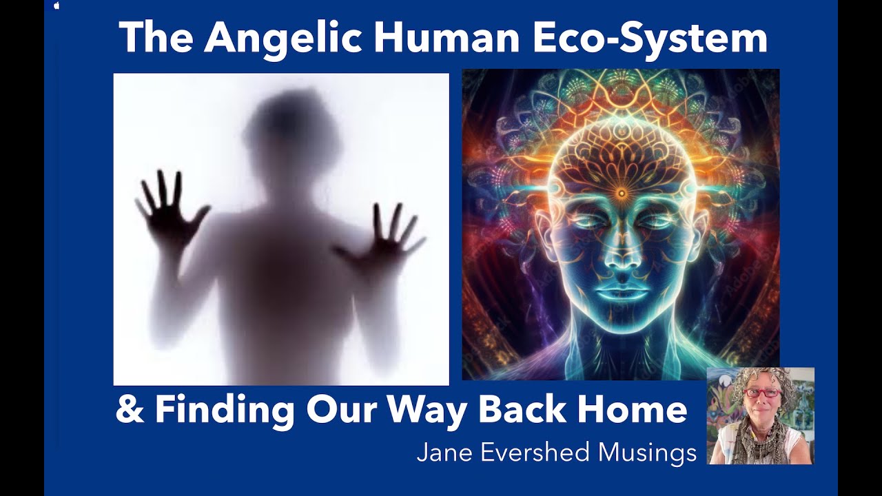 Angelic Humans and The way back home - YouTube