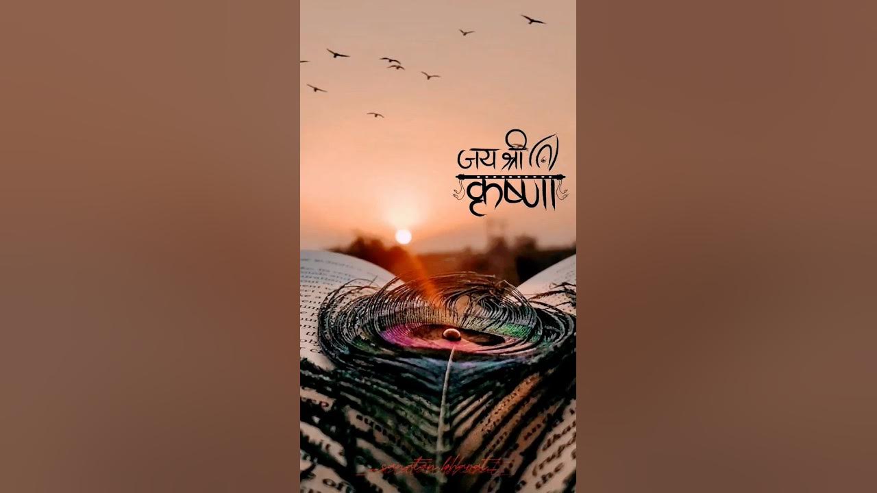 Mera Pyar Samajh Na Aave tenu Kinj Samjhawan Mein shorts mera-pyar-samajh-na-aave-tenu-kinj-samjhawan-mein-shorts