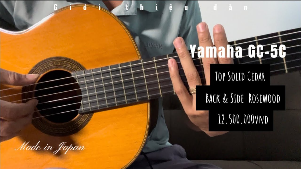 Đàn Yamaha GC-5C(Top Cedar) phân khúc cao cấp tạo tác năm 1980 vô cùng chất lượng - YouTube