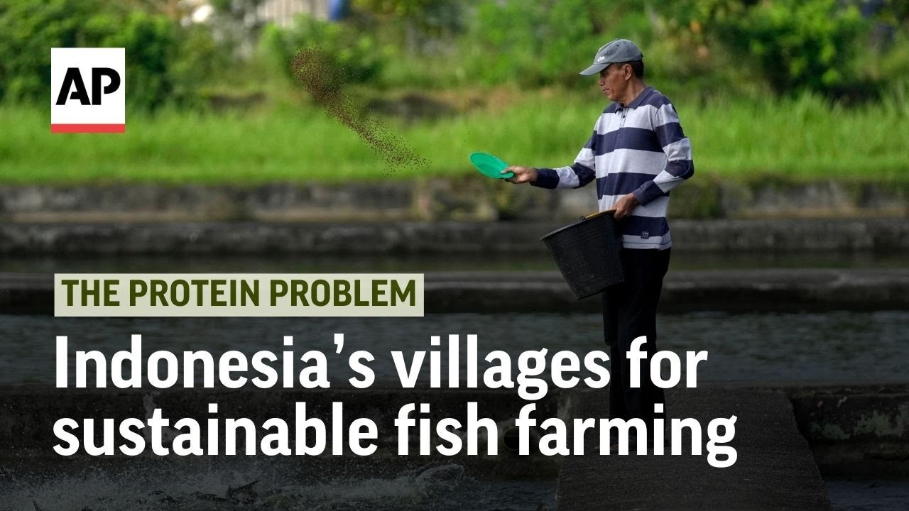 Indonesia 's experiment to create villages for sustainable fish farming ...