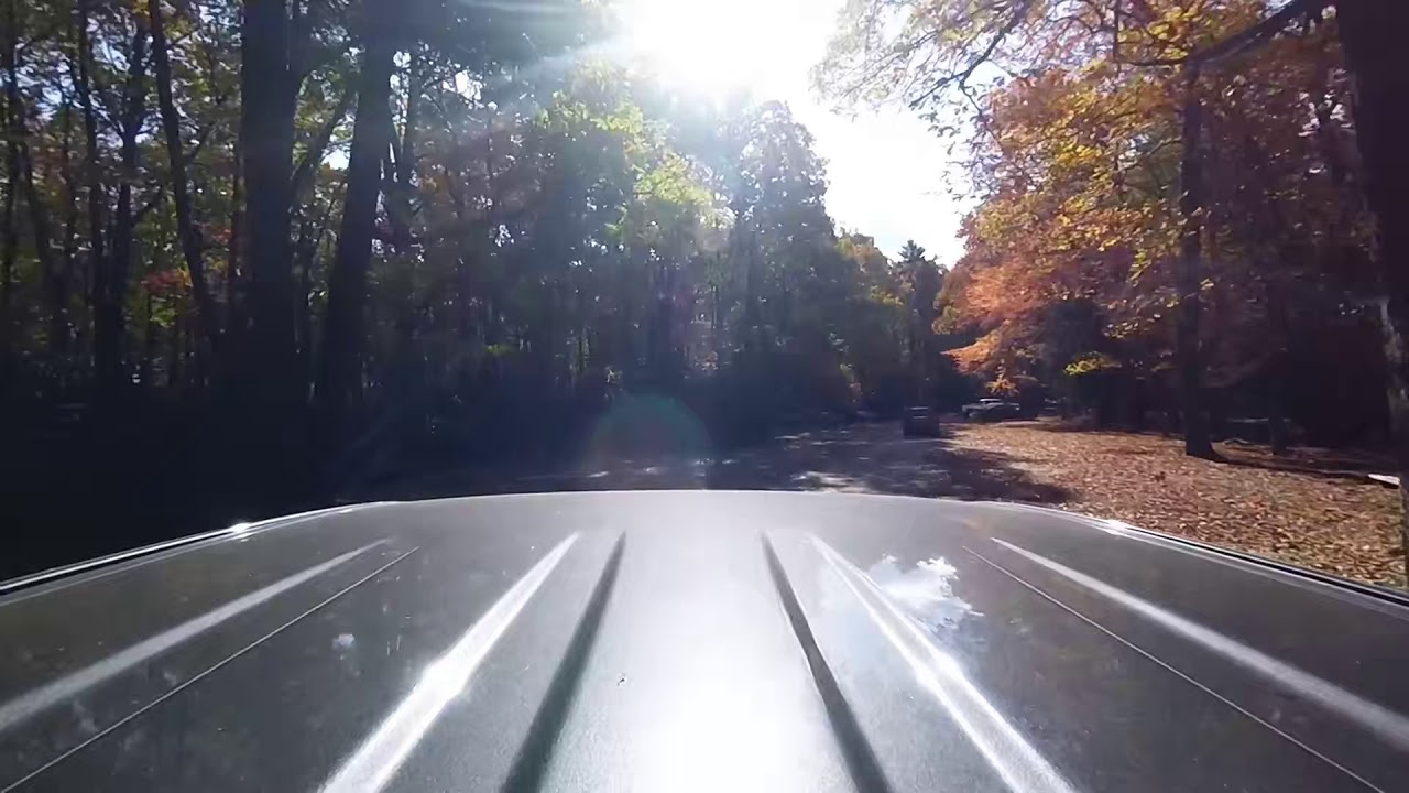 Cook Forest Fire Tower Rd Autum Drive - YouTube