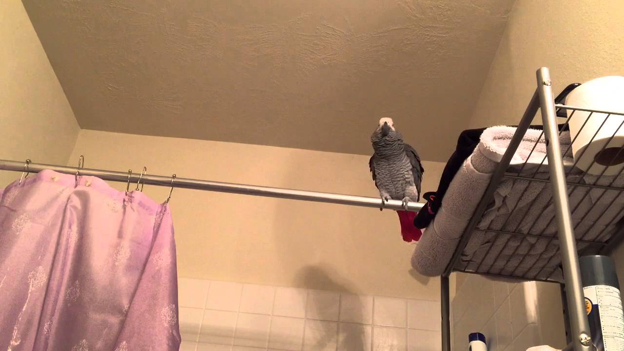 Zeke in the shower - YouTube