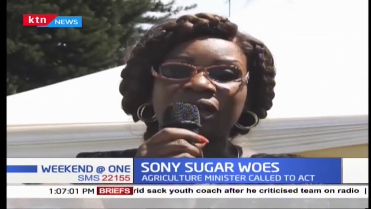 Senate committee on agriculture calls for audit of Sony Sugar Company ...