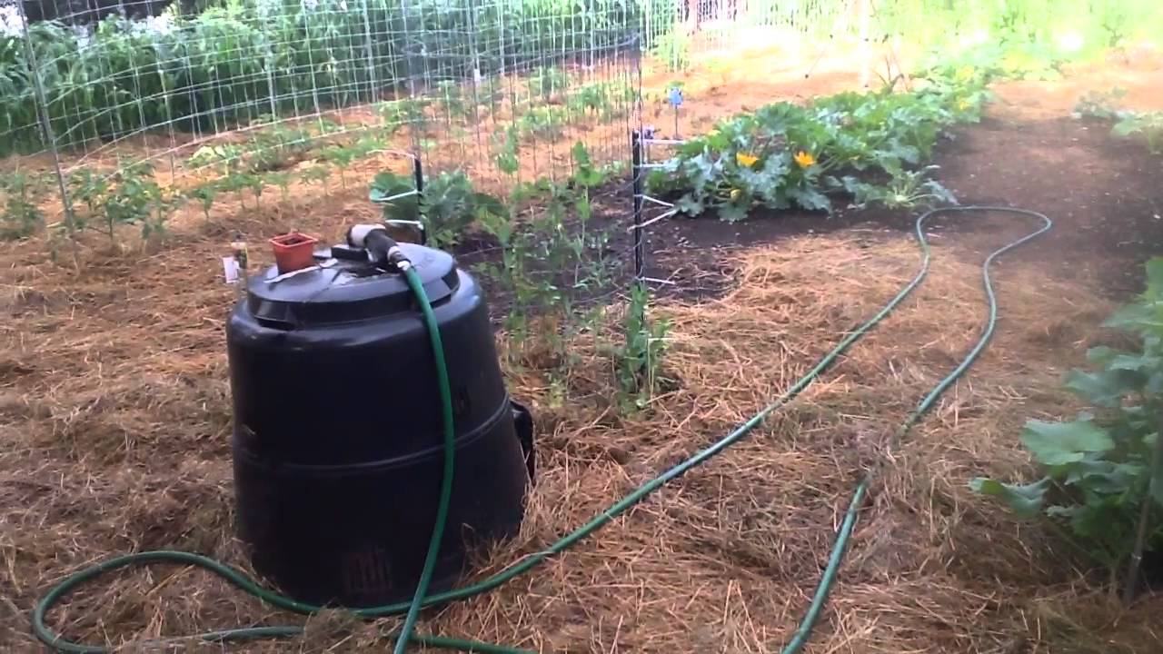Perry Garden 2015 - YouTube