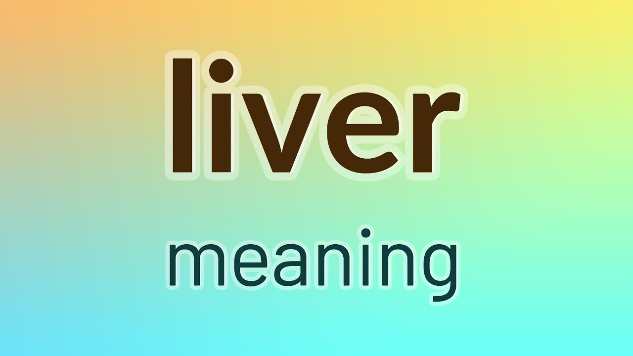 Liver - 60 English Vocabulary Flashcards - YouTube