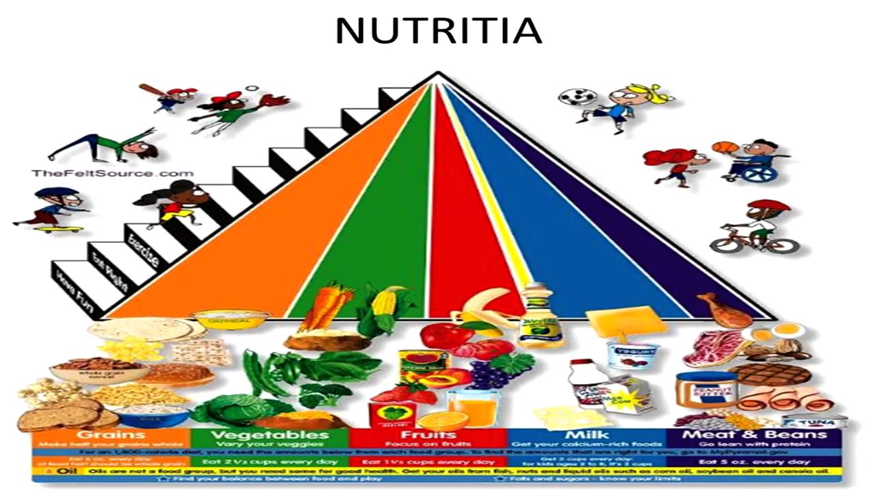 Rolul antioxidantilor in mentinerea sanatatii - Dr Corina Balan - YouTube