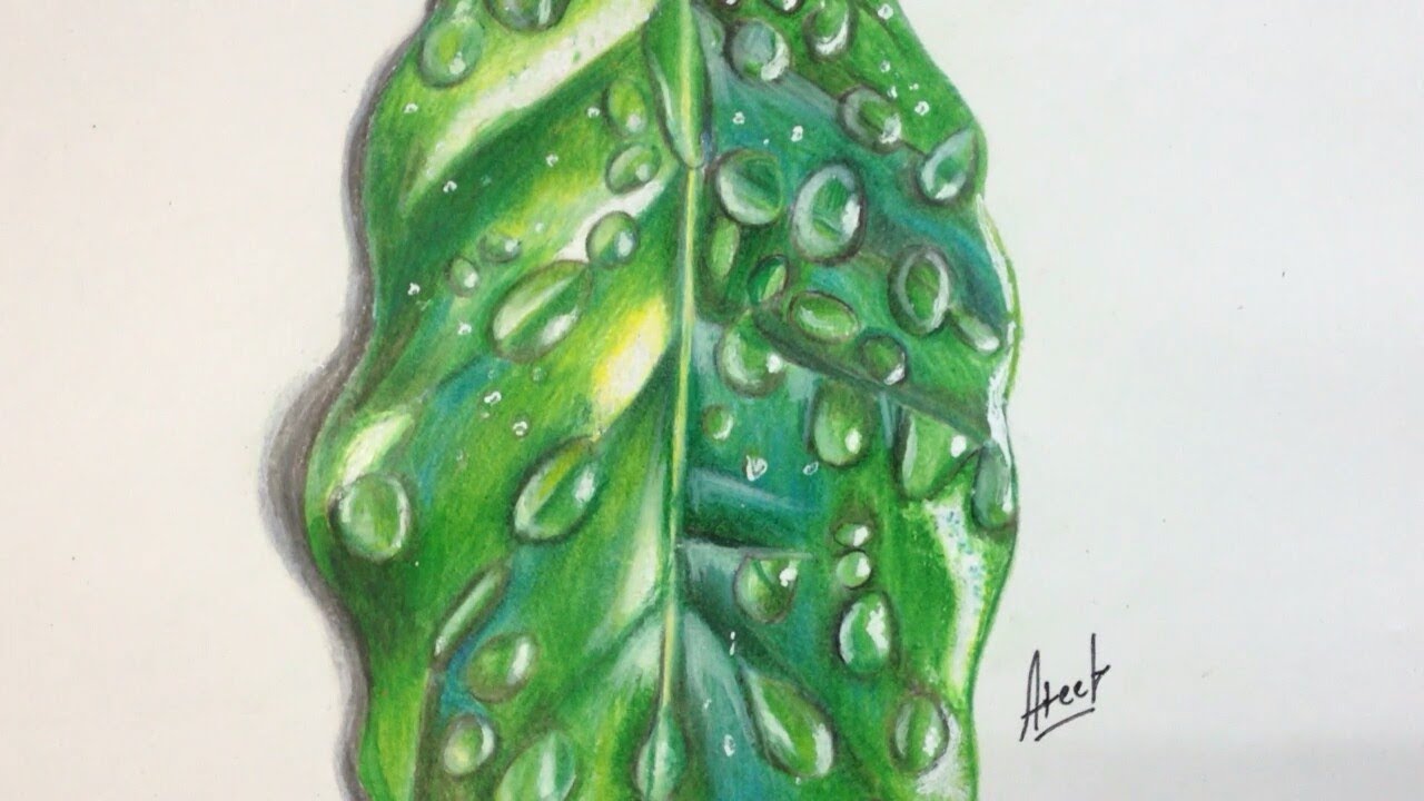 Realistic painting of a leaf with water droplets on it | with colour ...