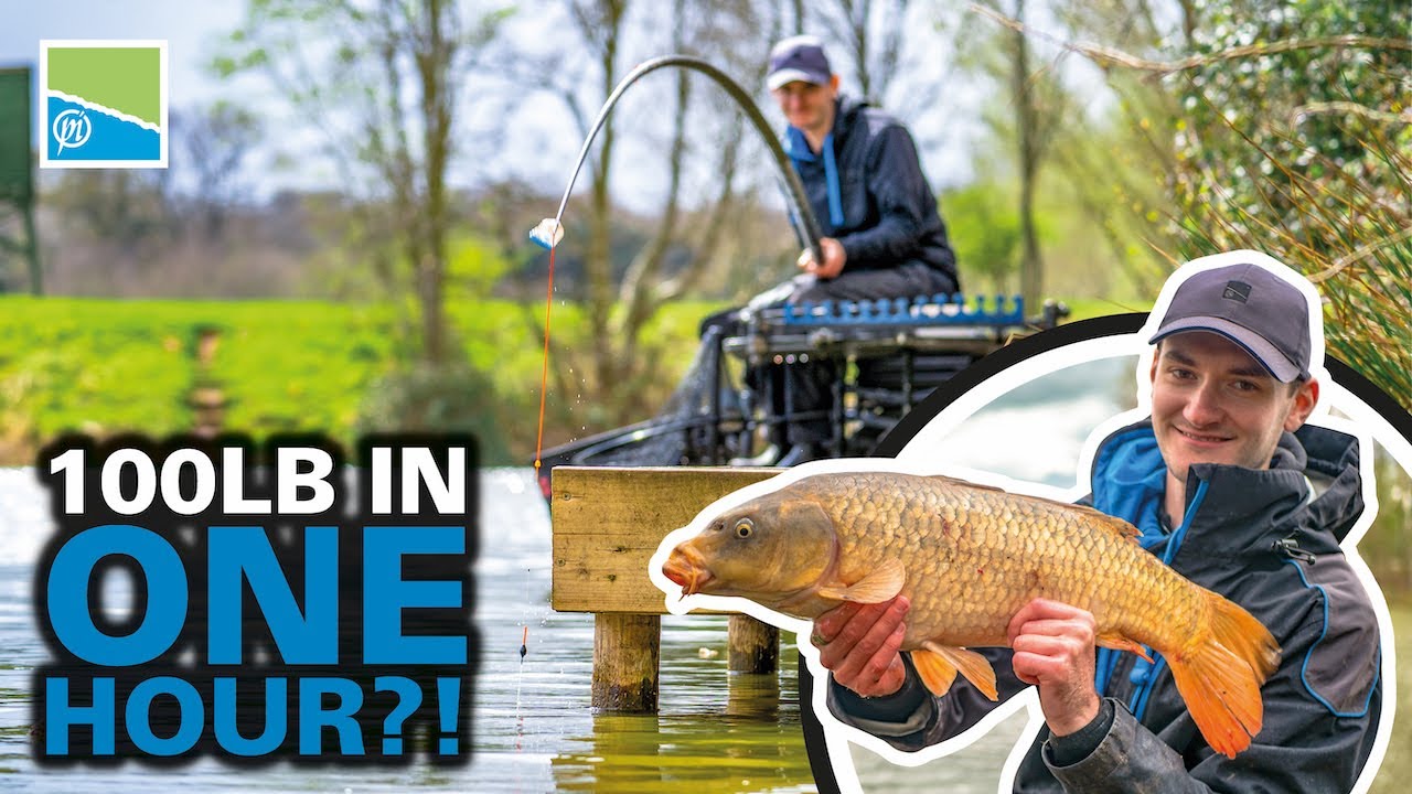 How To Catch 100lb Of Carp In ONE HOUR!!!! - YouTube