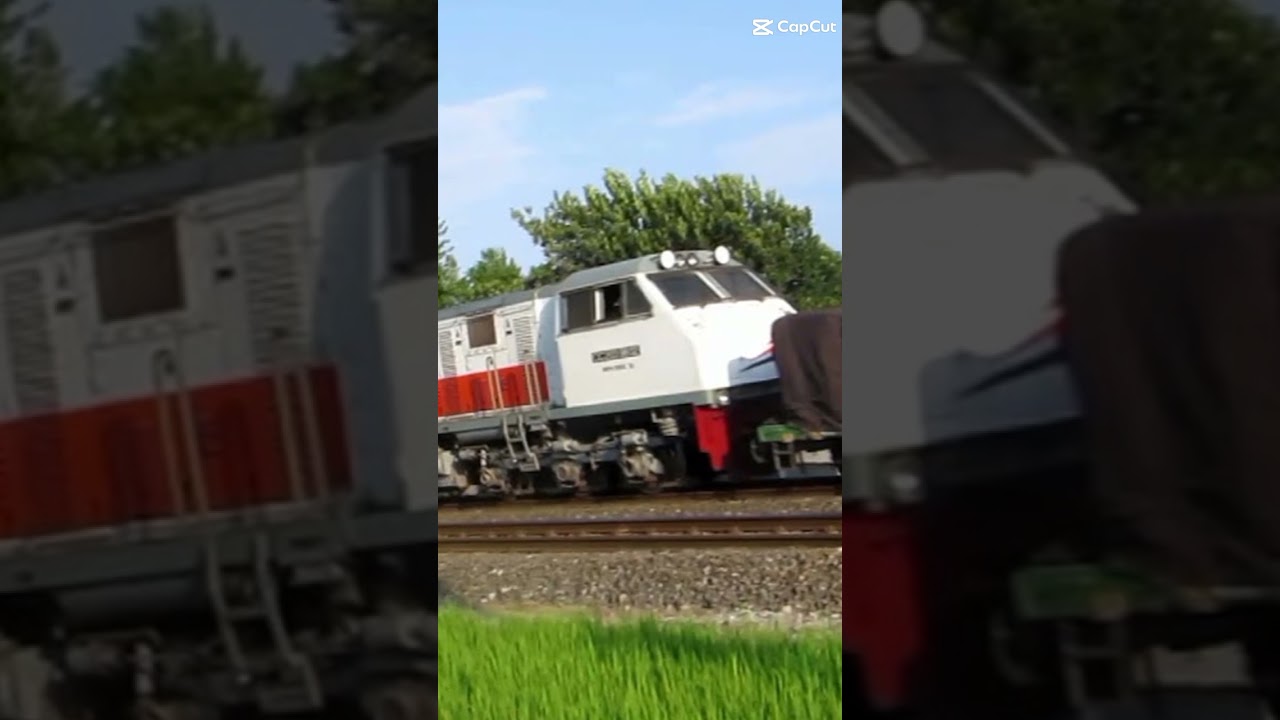 jedag jedug cc203 cc201 merah dan cc201 vintage - YouTube