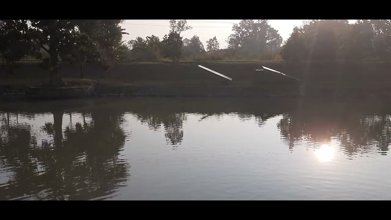 Kangla Fort Canal Fish Imphal Manipur - YouTube