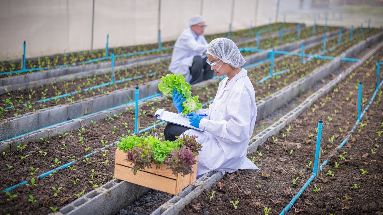 Biotecnologia: rumo à sustentabilidade na agricultura - YouTube