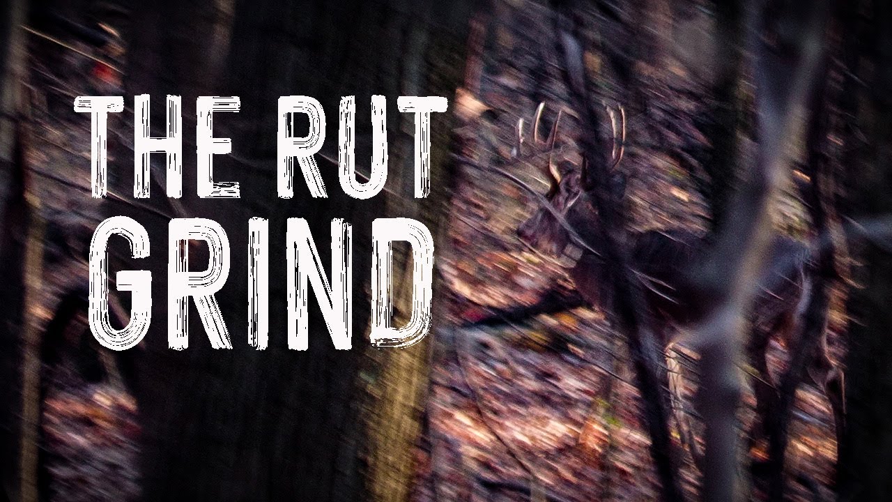 Bowhunting The OHIO RUT | Crazy Rut Action! | Deer Camp Chronicles ...