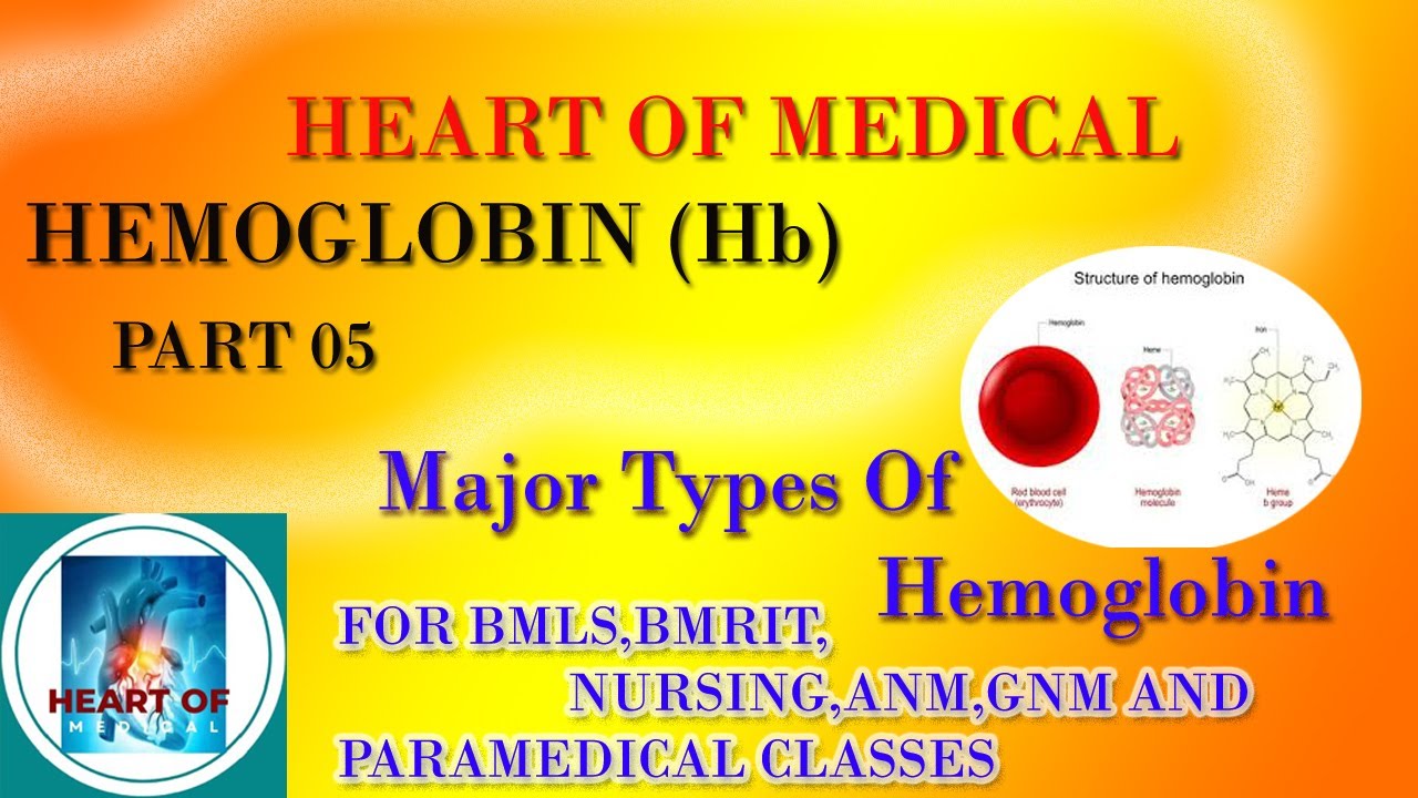 HEMOGLOBIN (Hb) Part 05 Major Types Of Hemoglobine BMLS, BRIT, NURSING ...