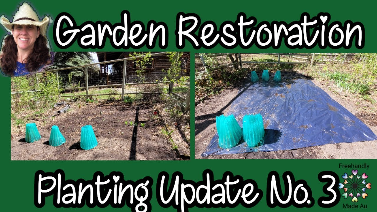 Garden Restoration and Planting Update Vlog No.3 - YouTube