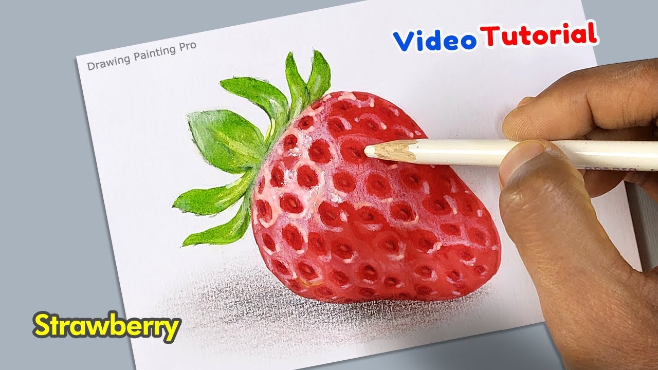 How to Draw a realistic Strawberry with color Pencil Step by Step ...
