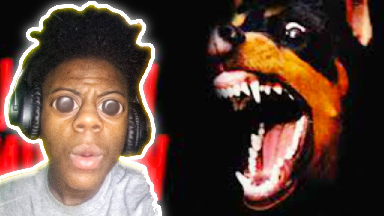 Why iShowSpeed BLEW UP *bark* - YouTube