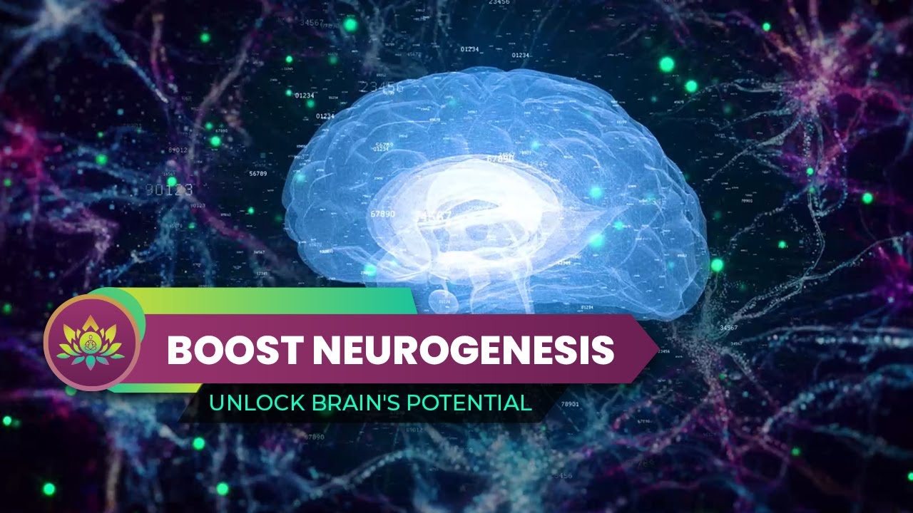 Activate Neuroplasticity, Boost Neurogenesis - Unlock Brain's Potential ...