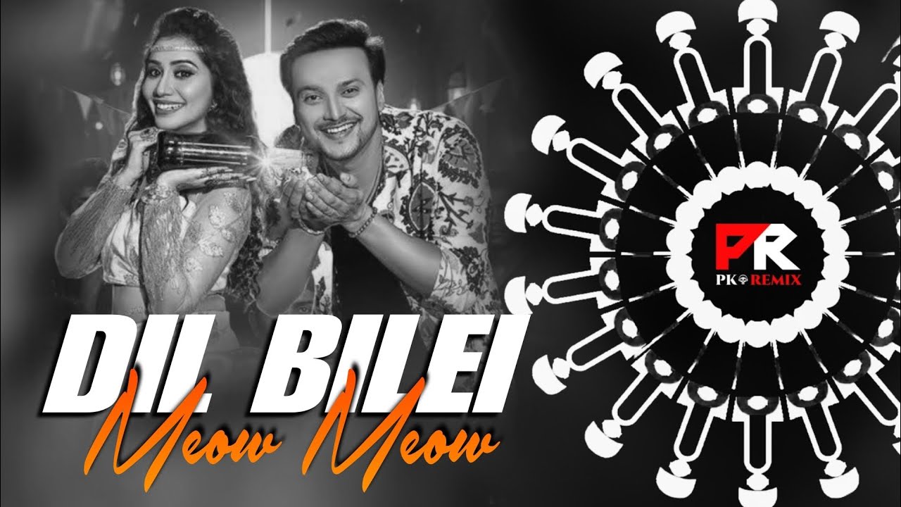 DIL BILEI MEOW MEOW - TAPORI EDM MIX || DJ ROCKY x DJ BAPI ANGUL x DJ ...