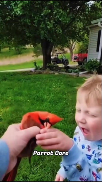 parrot core.🦜🦜 #parrot #funnyanimals #animalife #core #fyp - YouTube