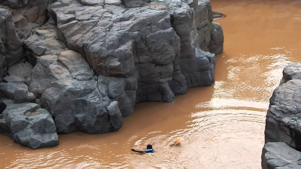 Scary diving :Kerio Divers Leap into Crocodile waters - YouTube