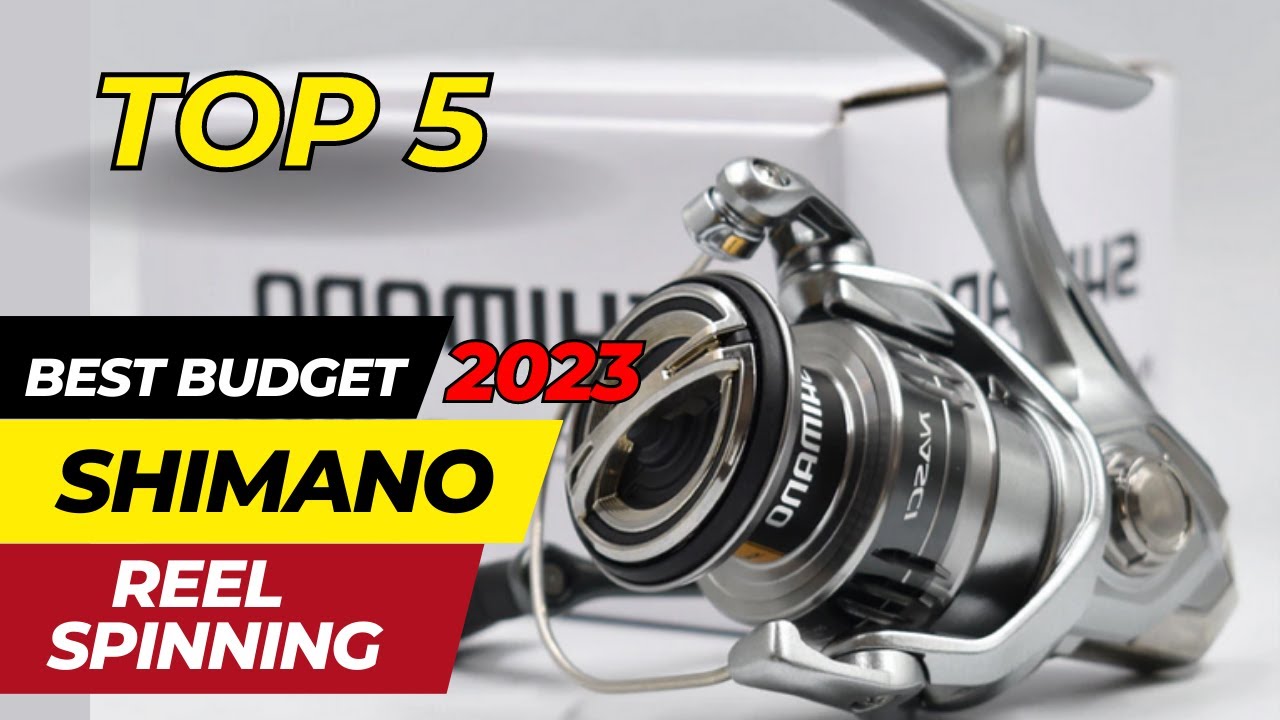 Top 5 - Best Shimano spinning reel - Low Budget Gadget 2023 - YouTube