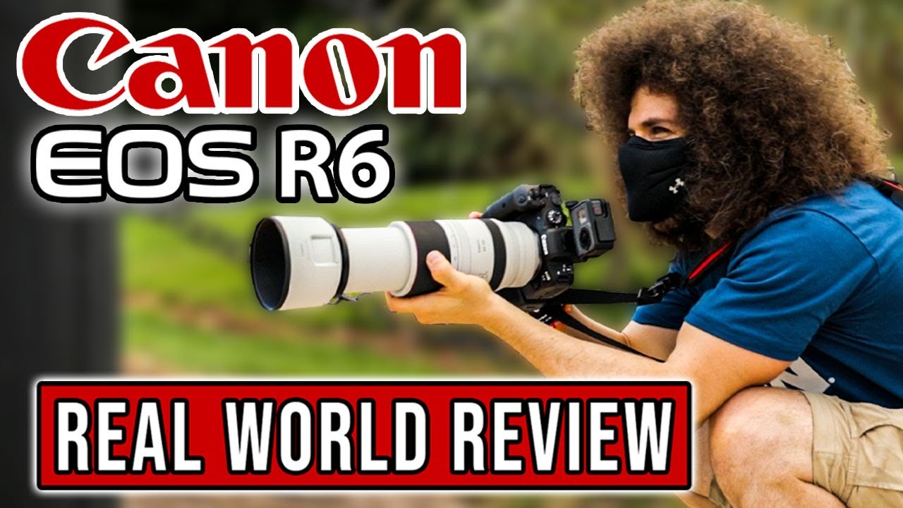 Canon EOS R6 Real World Review: The Ultimate Hybrid Mirrorless Camera ...