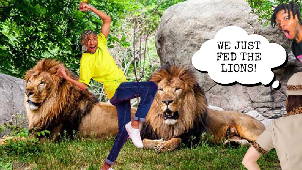 A WILD DAY AT THE ZOO! 🦓 - YouTube