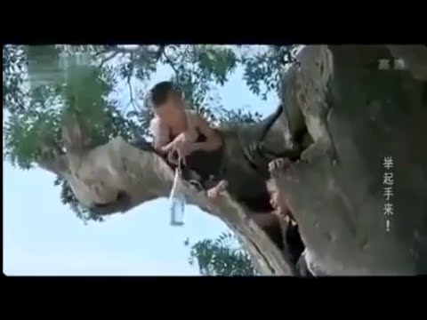 flm kungfu komedi \