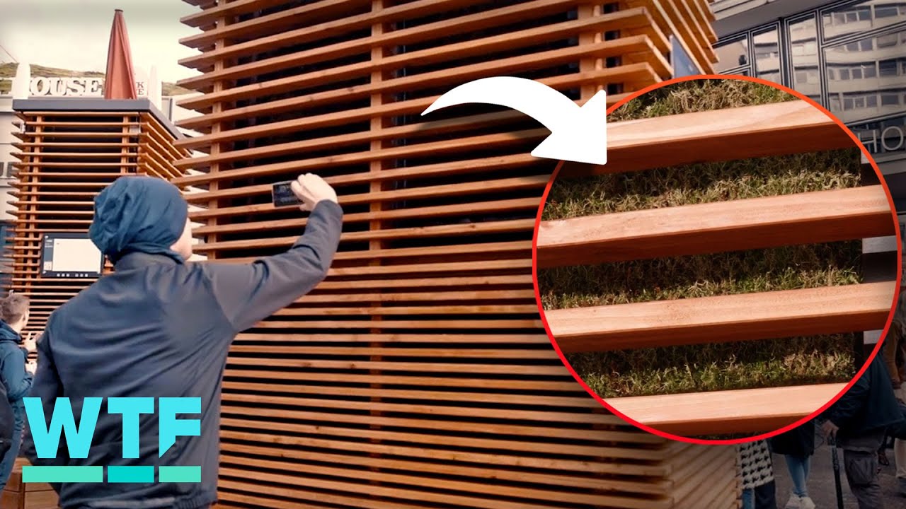 The CityTree uses MOSS to purify and cool air in cities 🌳 - YouTube