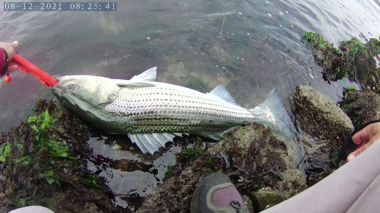 Capping off a Great Week - YouTube