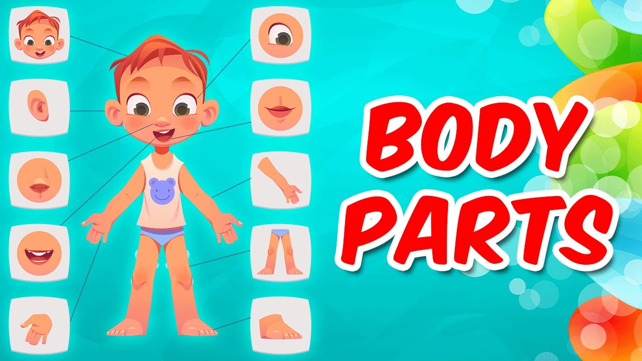 Learn Your Body Parts: Fun Animated Kids' Learning Video #bodyparts # ...