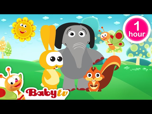 Baby Hood - Playing Football ⚽ + more BabyTV Classics 📺 | Full Episodes ...