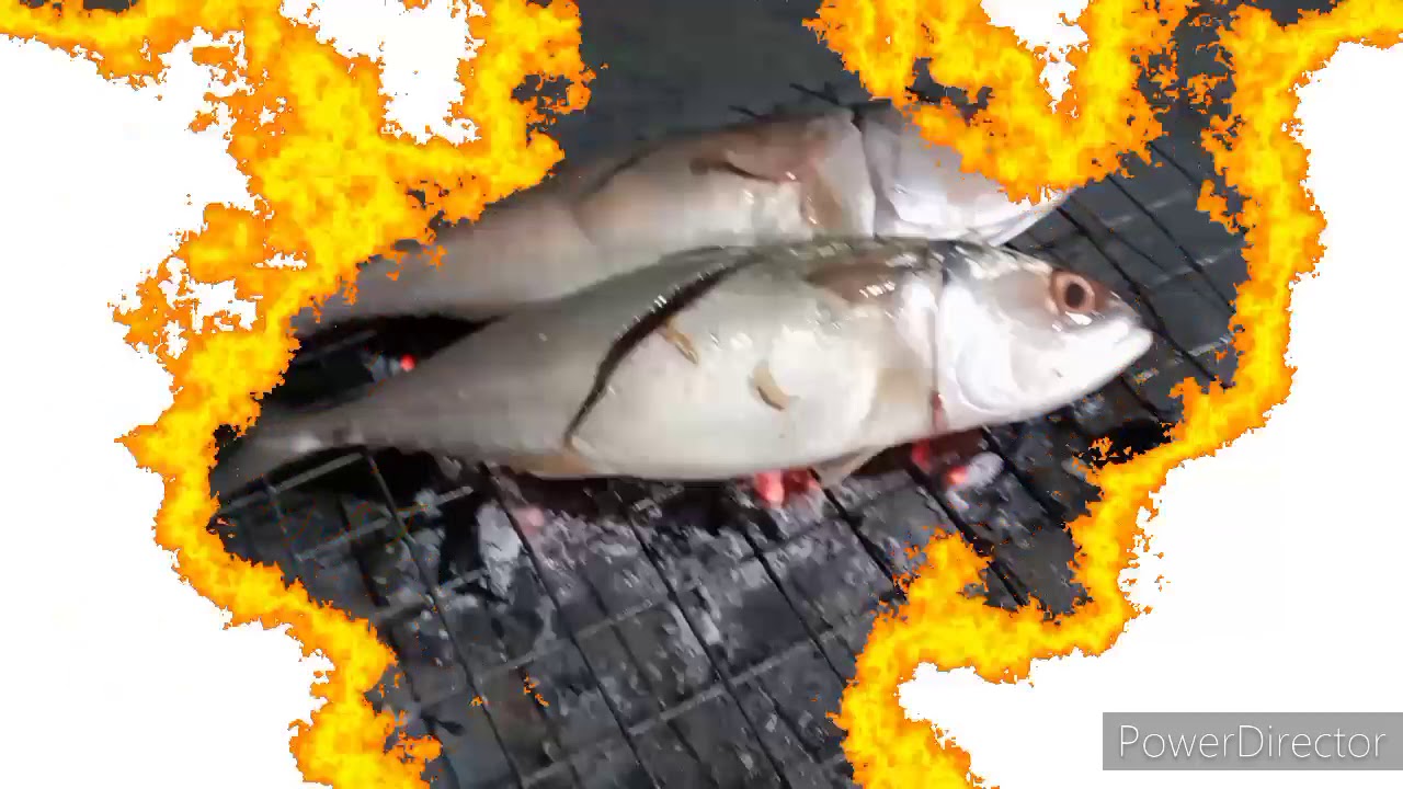 INIHAW NA ISDA OR SINUGBA..♨️🍅 - YouTube