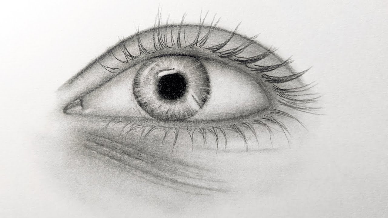 How to Draw Hyper Realistic Eyes for Beginners - Step by Step #drawing ...