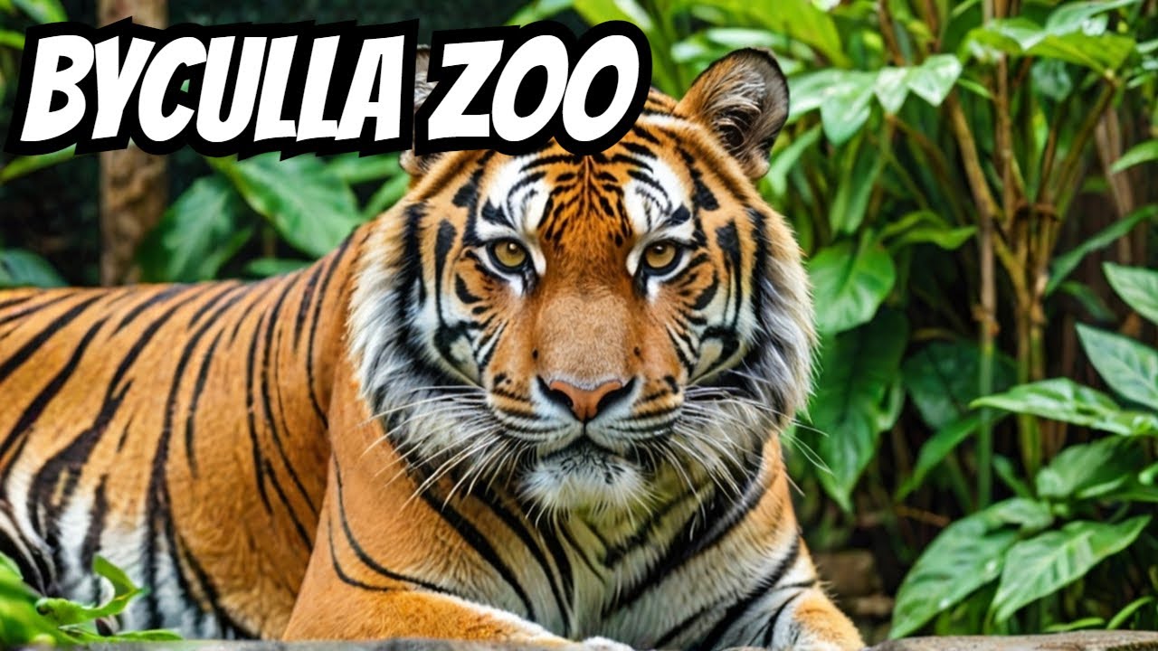 Byculla Zoo | Mumbai Rani Baug | Mumbai Zoo Park Byculla | Veer ...