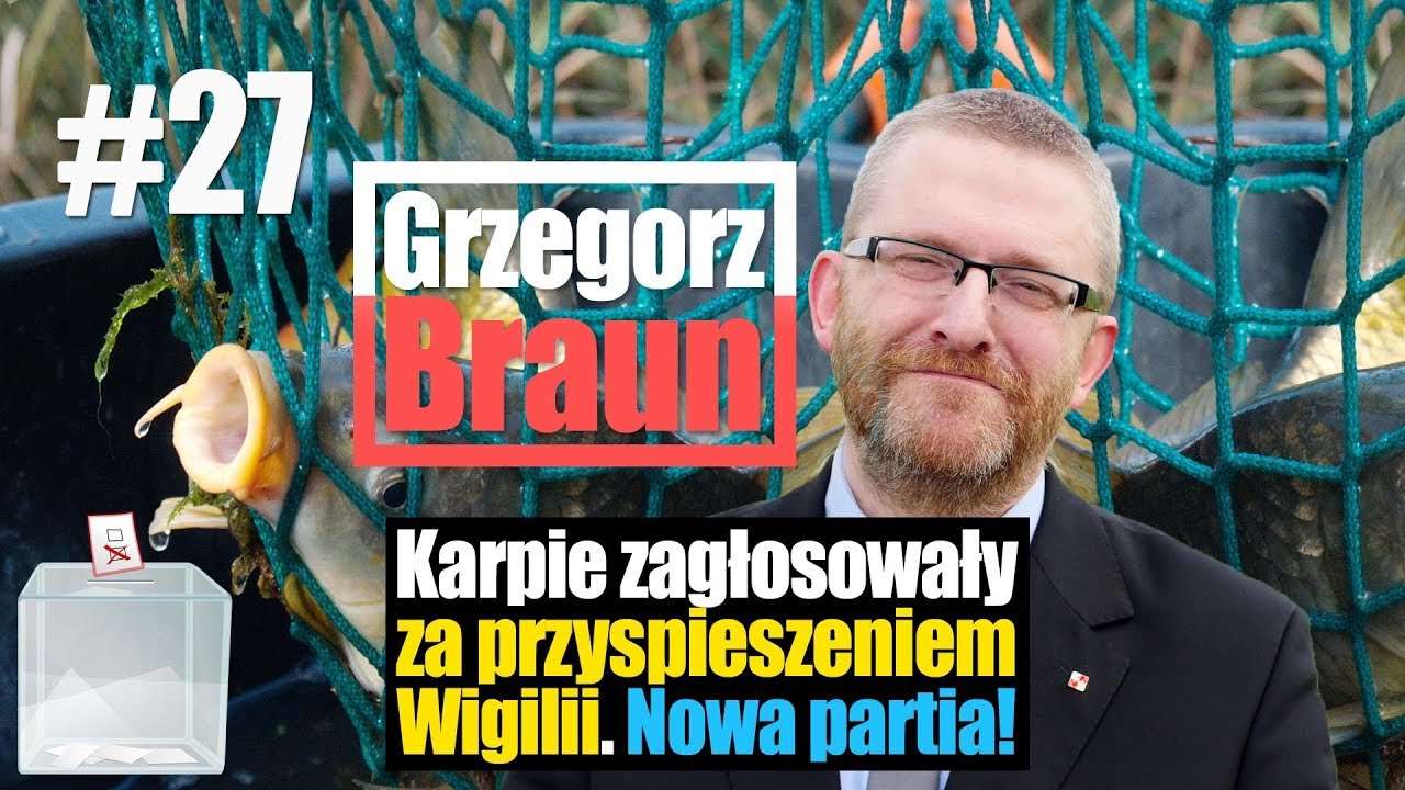 Grzegorz Braun: Karpie zagłosowały za przyspieszeniem Wigilii. Nowa ...