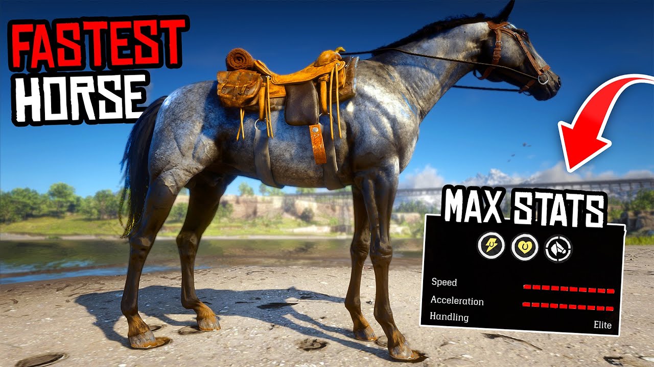 6 FASTEST Race Horses - Red Dead Redemption 2 Best Horses for John ...