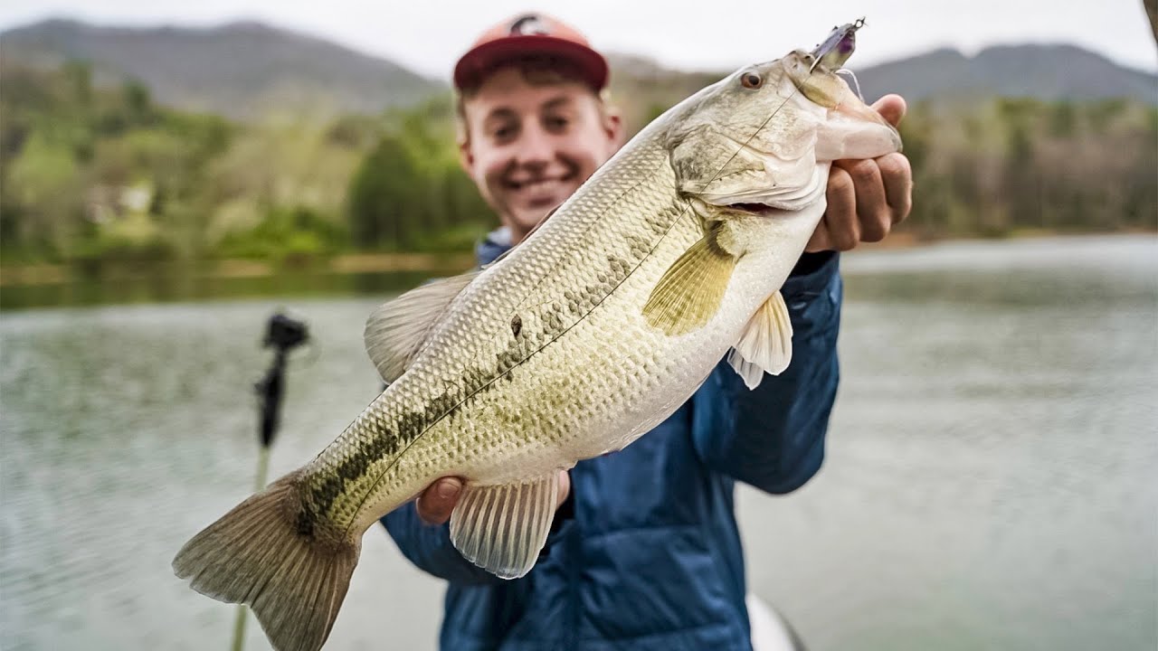 Big Bass on Watauga Lake!!! - YouTube
