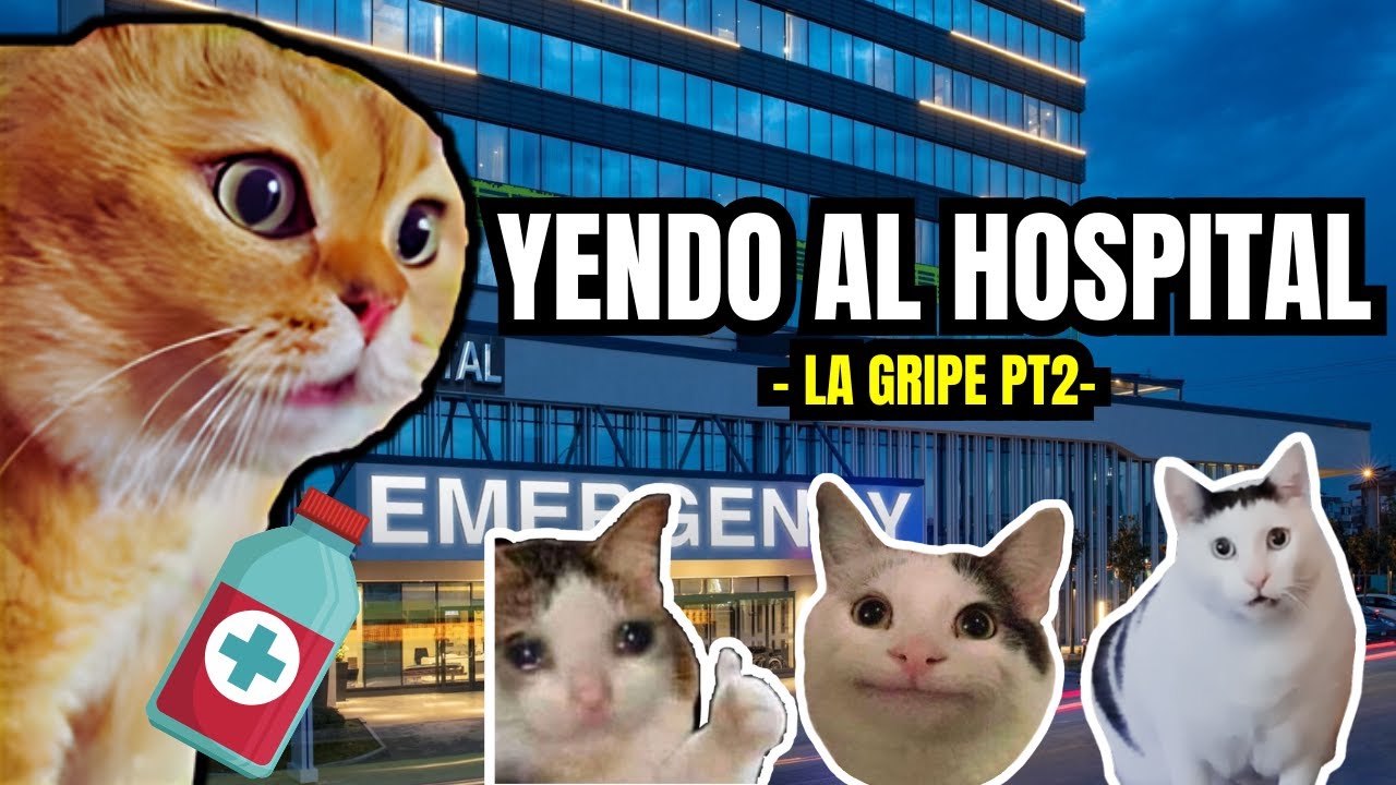 YENDO AL HOSPITAL, la gripe parte 2 (meme de gatos) - YouTube